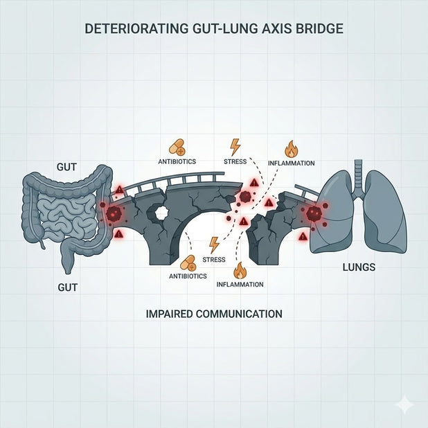 EverNatureCure Lung Support Probiotics